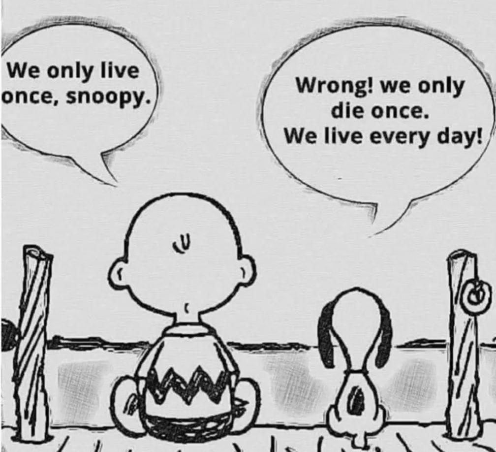 Lesson I Learned From Snoopy – The Empowering Echoes